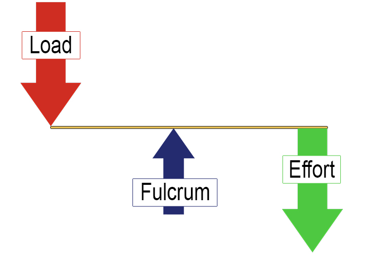 Three Types Of Lever Systems First Class Lever Mammoth Memory Three Types Of Lever Systems First Class Lever Mammoth Memory